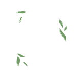 Events – Scrub Studio Soaps | Handmade Vegan Soaps + Skincare
